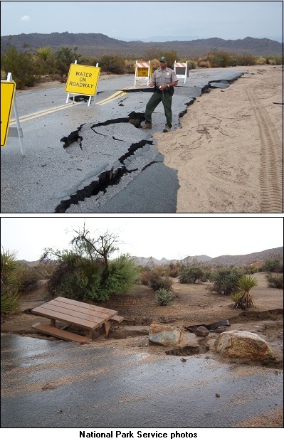 INT: Flash flood forces closures at Joshua Tree National Park